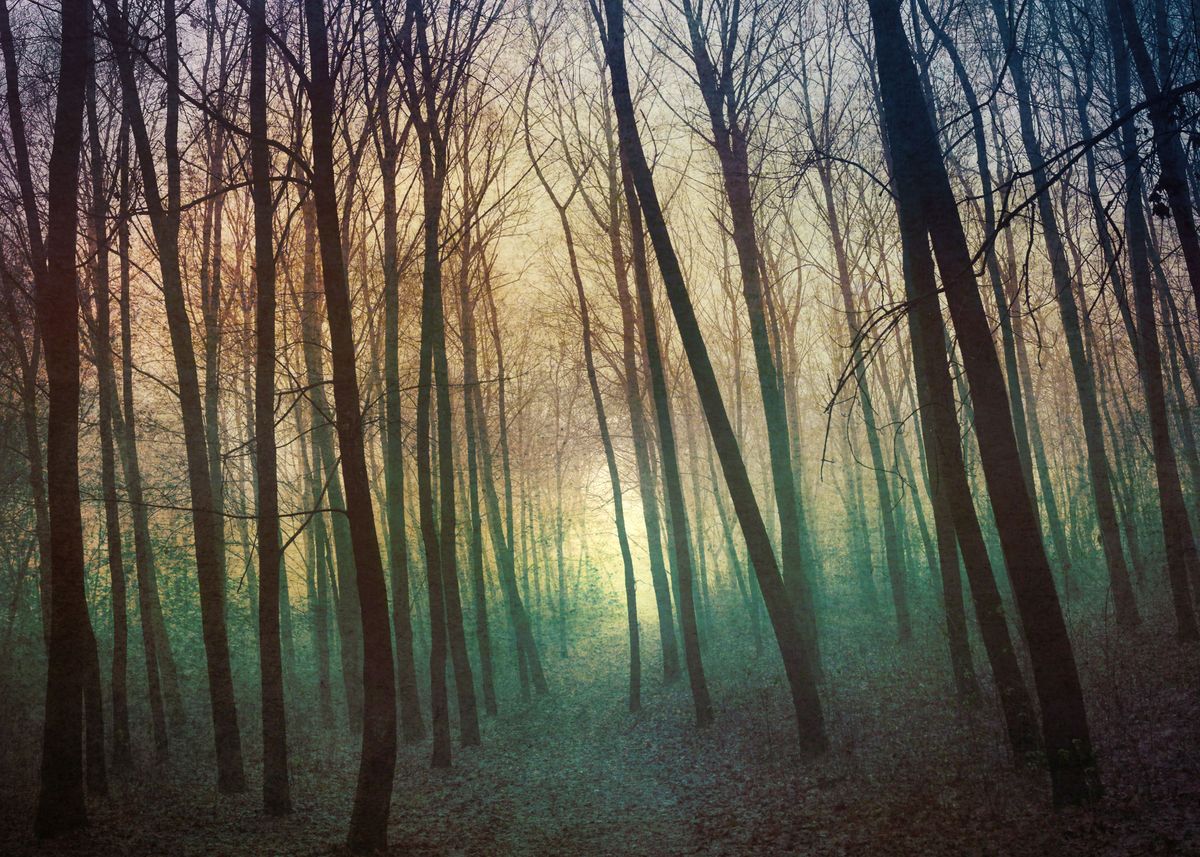 'Enchanting Nature...' Poster by Denis Marsili | Displate