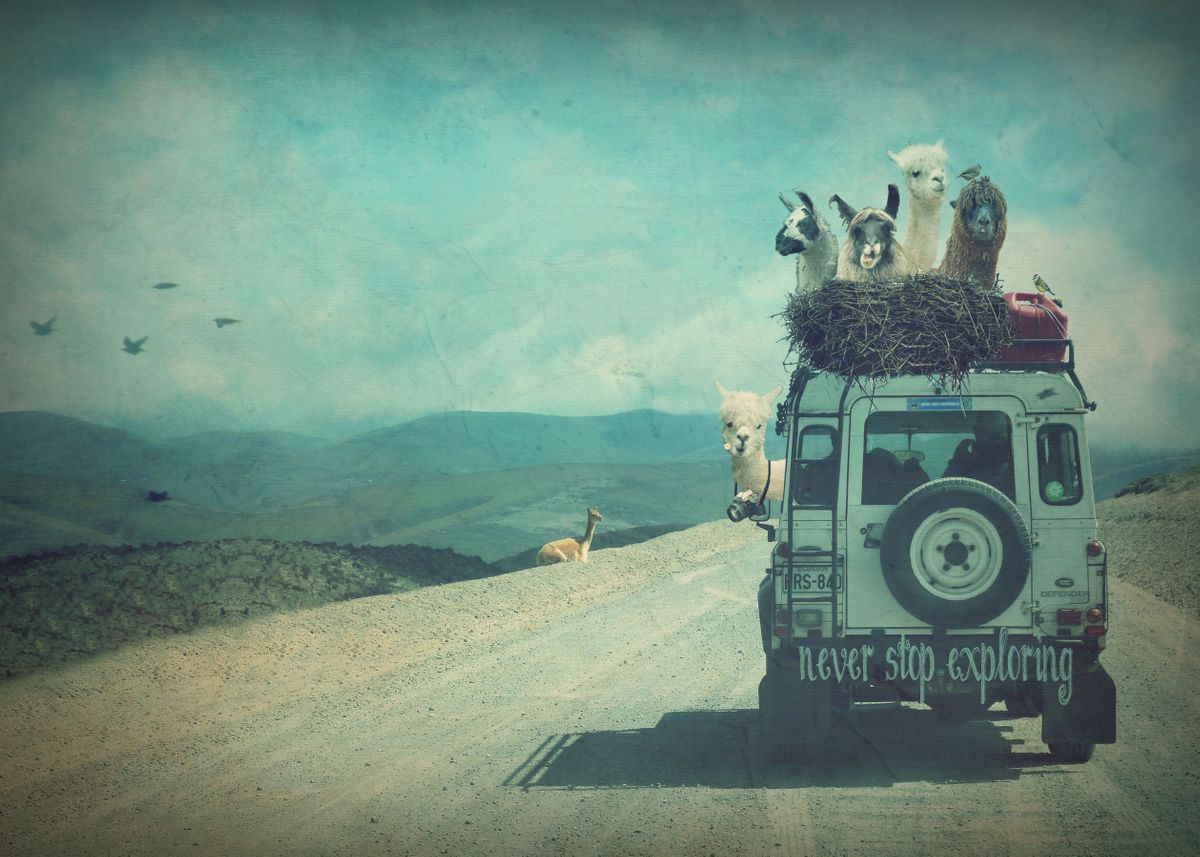 'NEVER STOP EXPLORING II' Poster, picture, metal print, paint by Monika ...