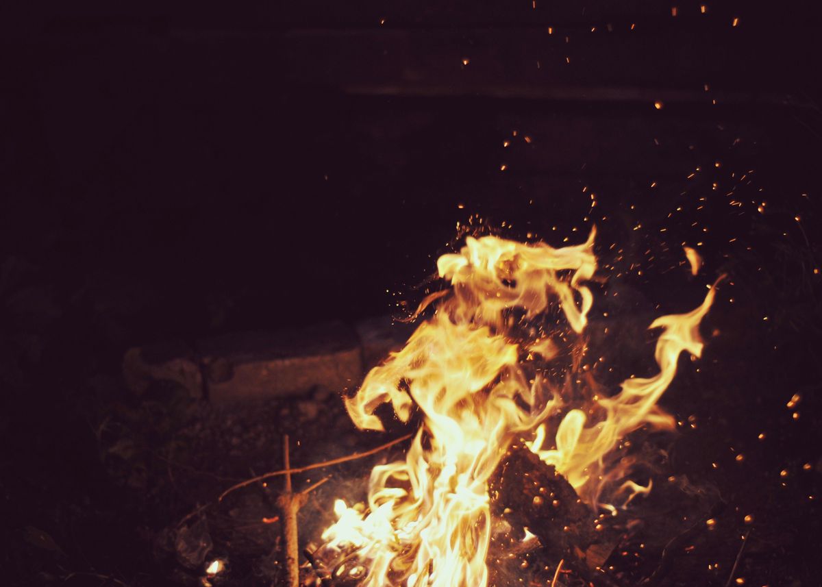 'We set a fire to burn dead trees.' Poster, picture, metal print, paint ...