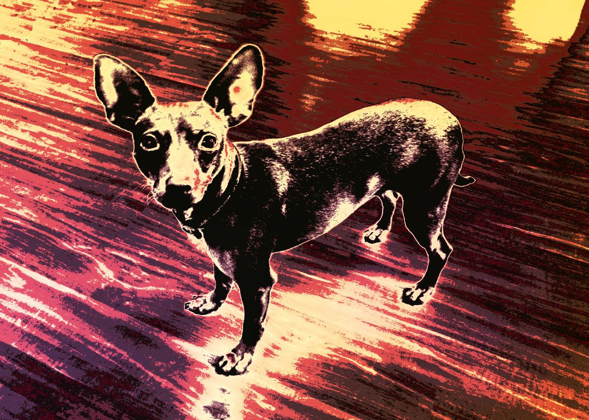 'Maggy small lovely dog' Poster, picture, metal print, paint by ...