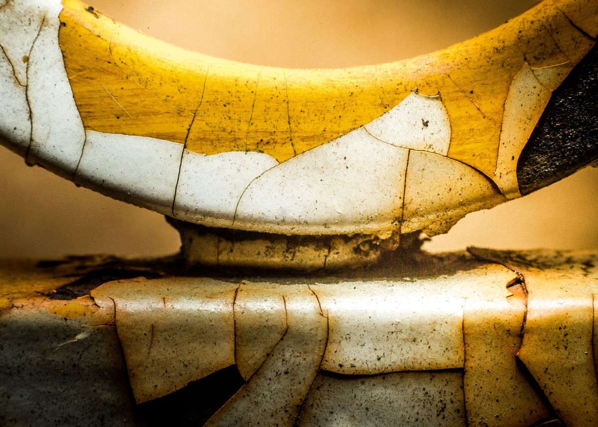 'This is a very tight macro of a flower planter I have. ... ' Poster ...