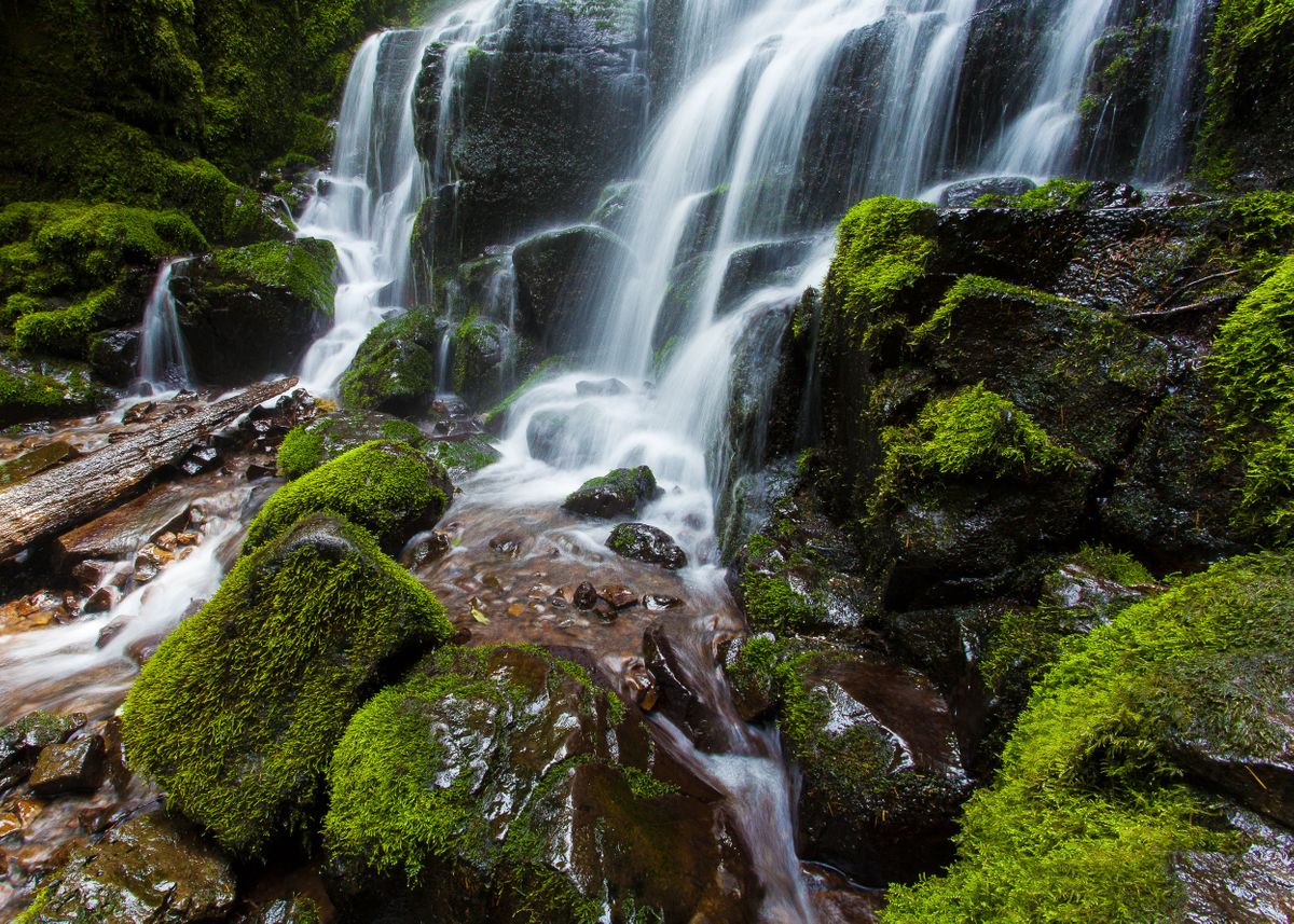 'Gift of the Fae' Poster, picture, metal print, paint by Brandt | Displate