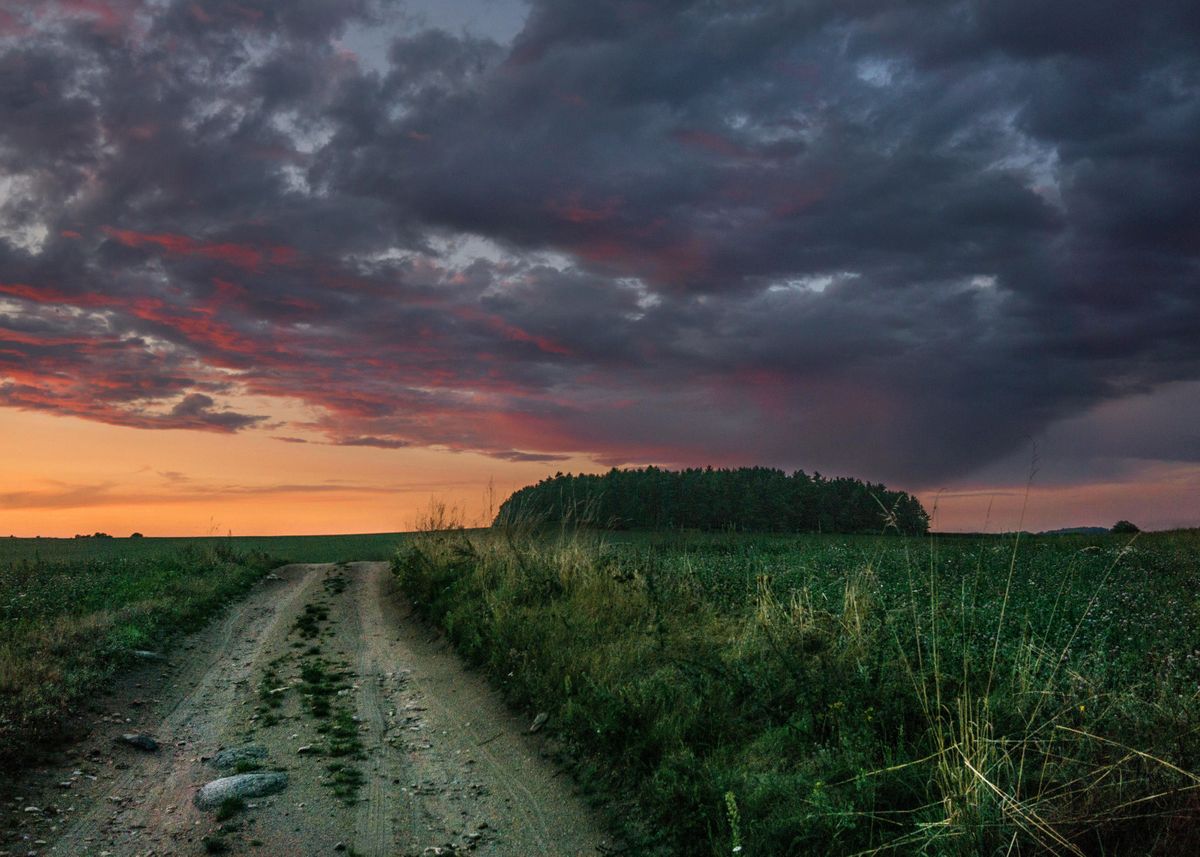 'The Way Forward' Poster, picture, metal print, paint by Andrew ...