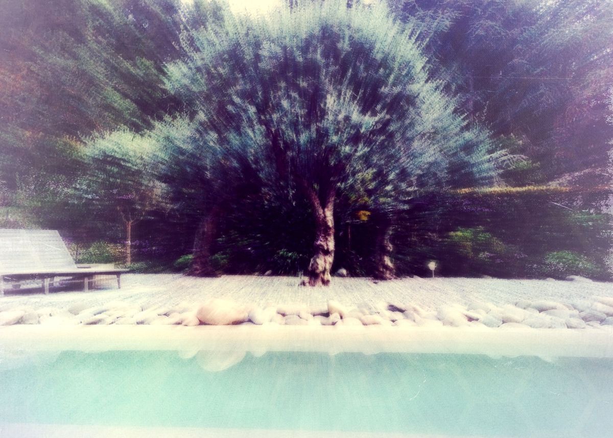 'blue tree' Poster, picture, metal print, paint by Fab DP | Displate