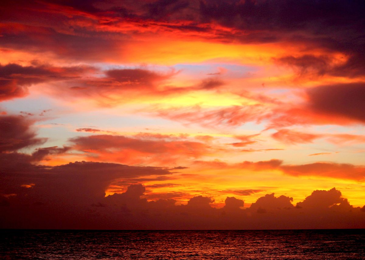 'Painted Sunset' Poster, picture, metal print, paint by Philip Brown ...