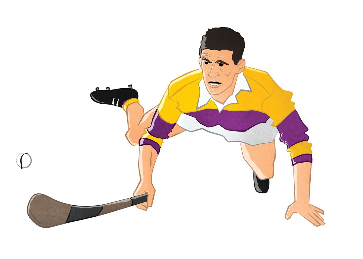 'Pat Nolan, Wexford Hurling' Poster, picture, metal print, paint by ...
