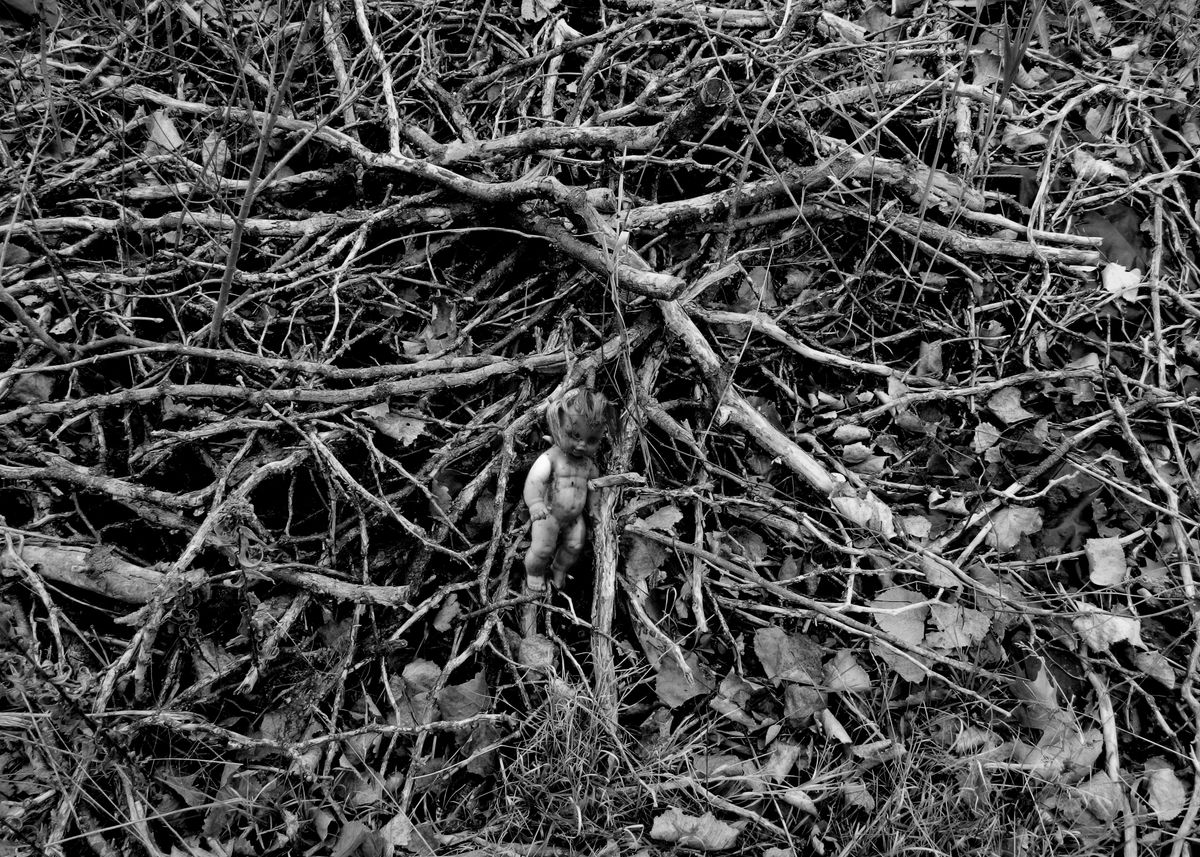 'Doll' Poster, picture, metal print, paint by Gregory James Wyrick ...