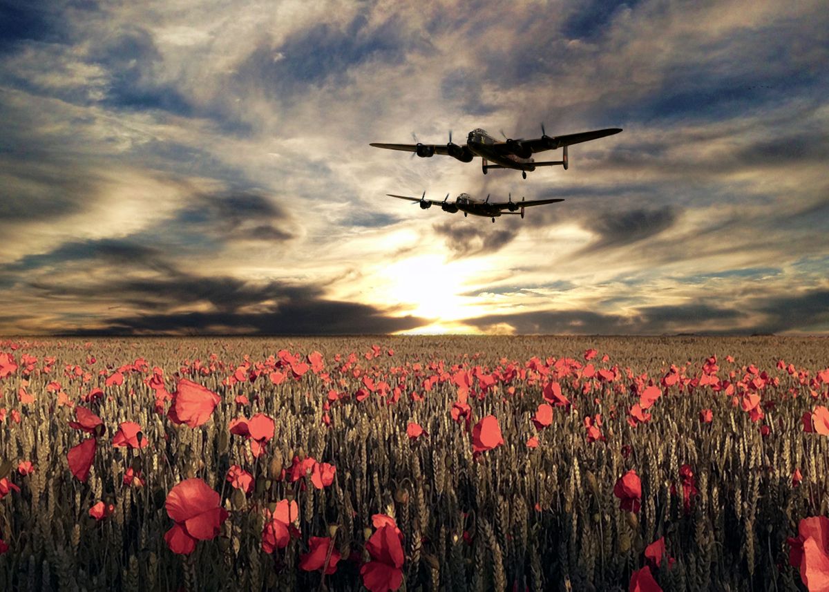 'Brave Men All' Poster, picture, metal print, paint by Airpower Art ...