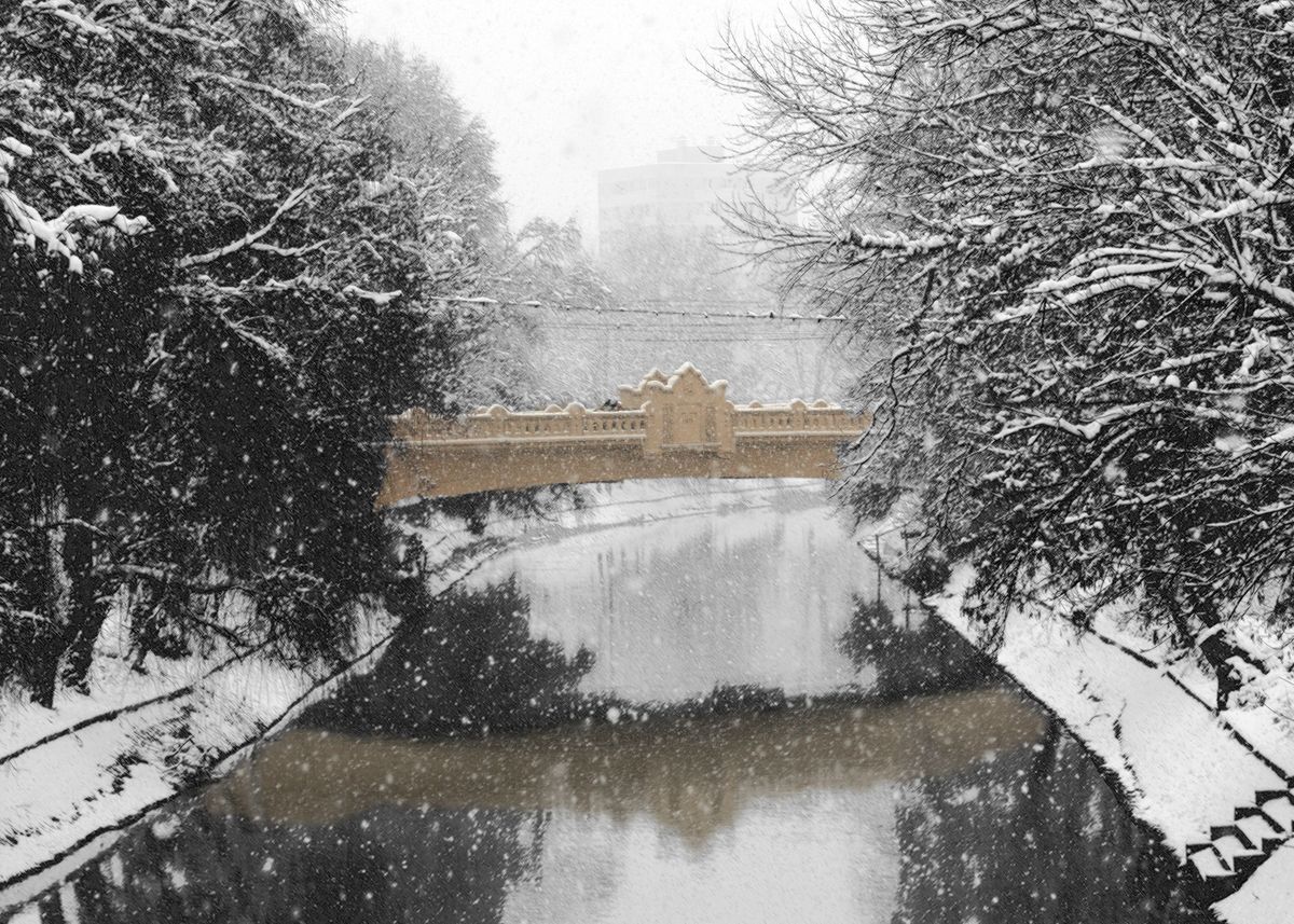 'Winter time in Timisoara (Romania)' Poster, picture, metal print ...