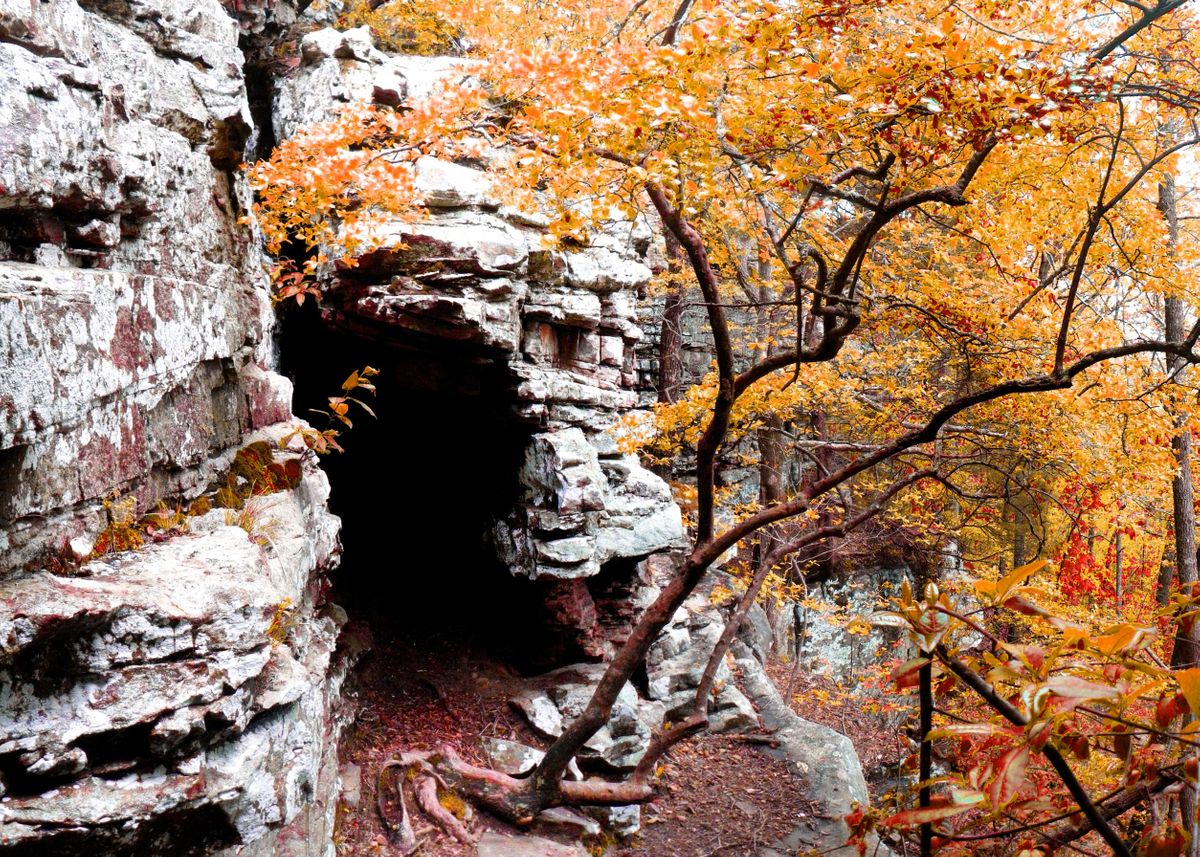 'Autumn Cave' Poster, picture, metal print, paint by Kyle Ferguson ...
