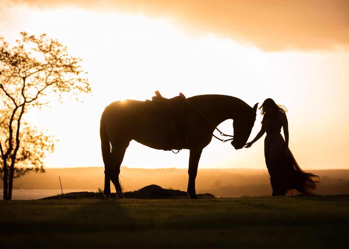 'Campolina sunset' Poster, picture, metal print, paint by Margreet ...