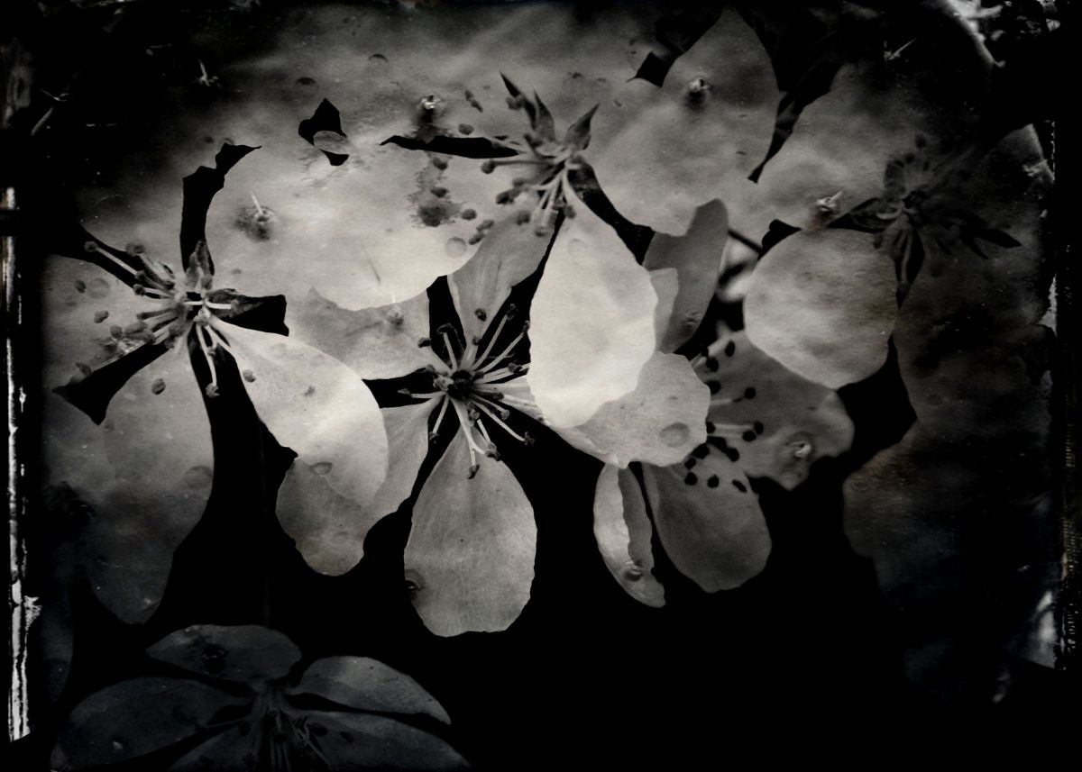 'Untitled' Poster, picture, metal print, paint by Gregory James Wyrick ...