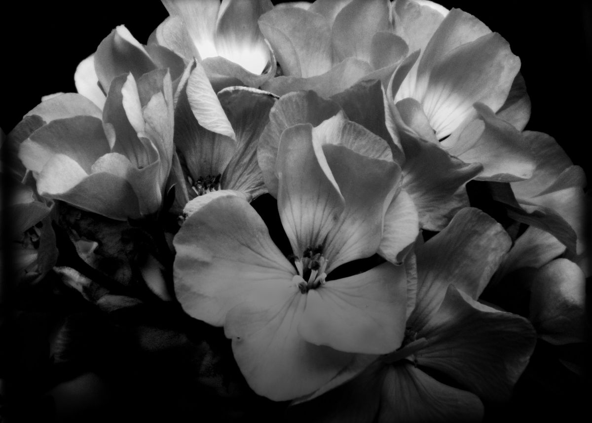 'Untitled' Poster, picture, metal print, paint by Gregory James Wyrick ...