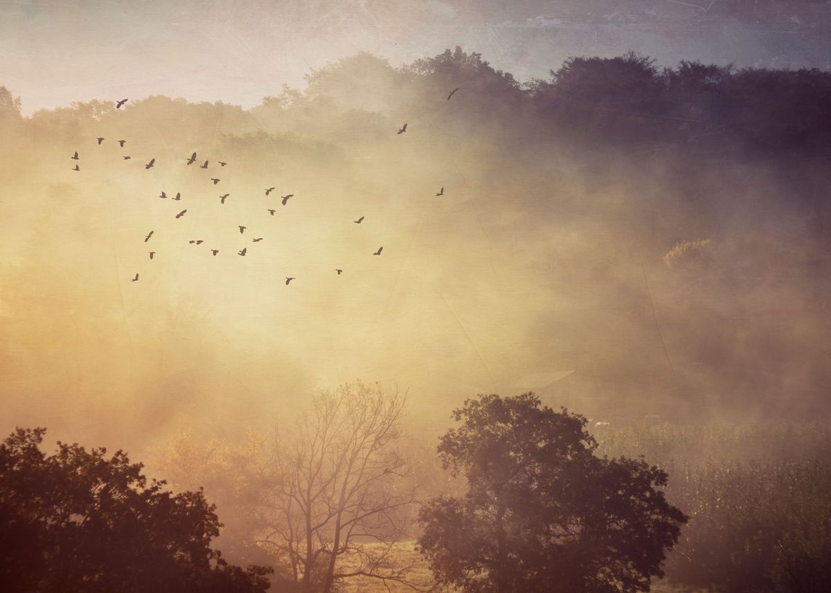 'Fog Glow' Poster, picture, metal print, paint by Dirk Wüstenhagen ...