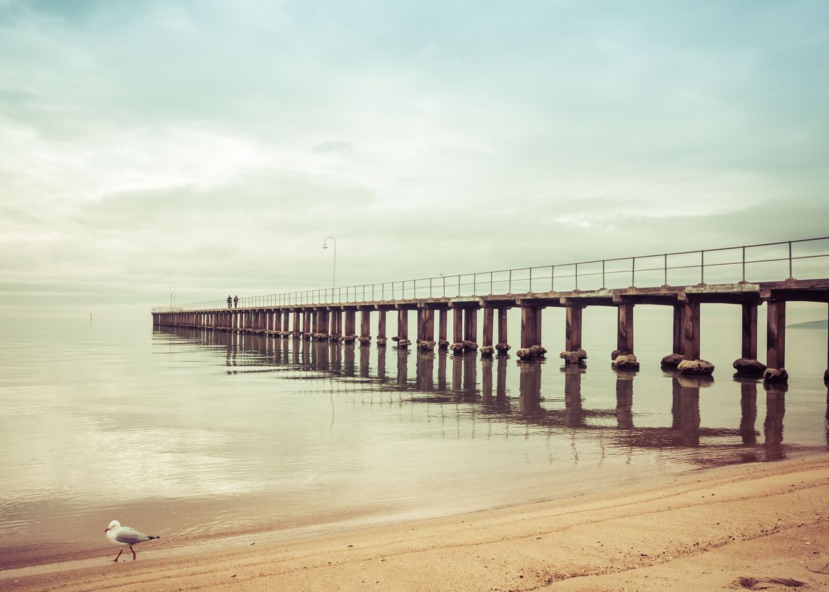 'Dromana Pier' Poster, picture, metal print, paint by Shari Sherriff ...