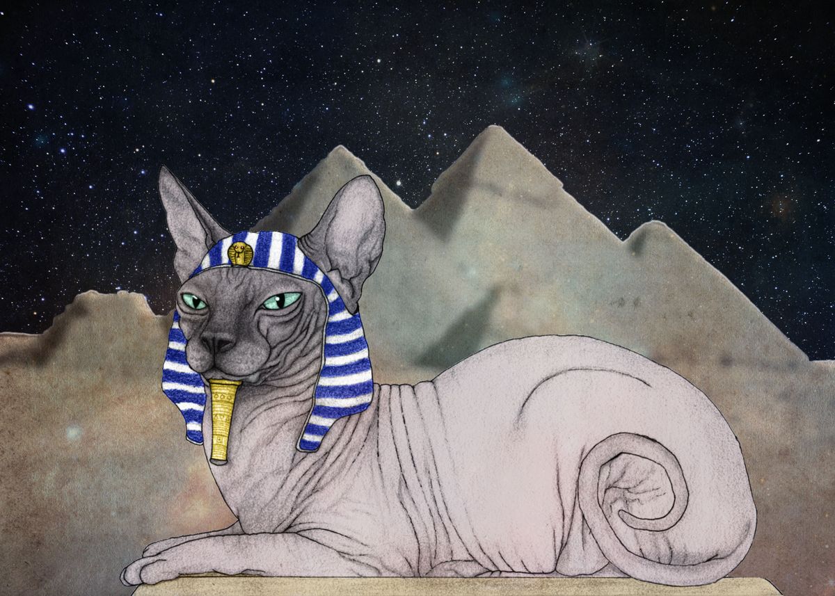 'Sphynx Cat (space background)' Poster by Barruf ... | Displate