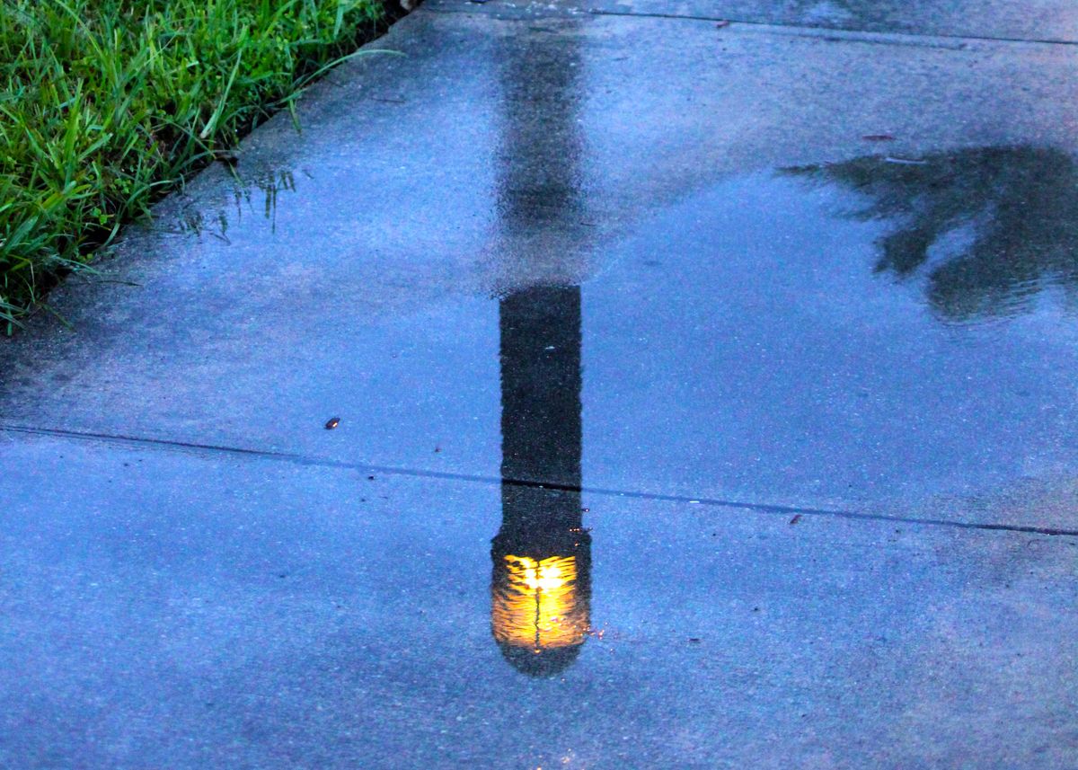 'Reflected Light' Poster, picture, metal print, paint by Philip Brown ...