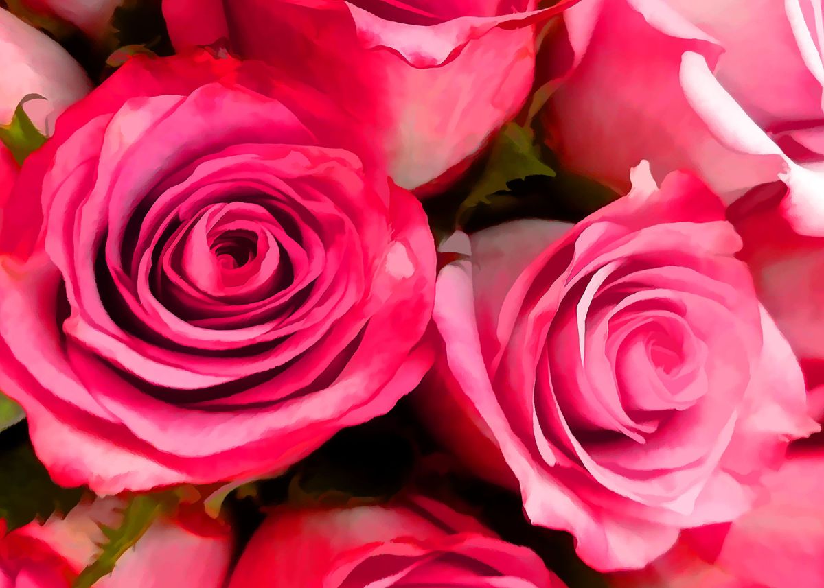 'Pink Roses' Poster, picture, metal print, paint by Christy Leigh ...