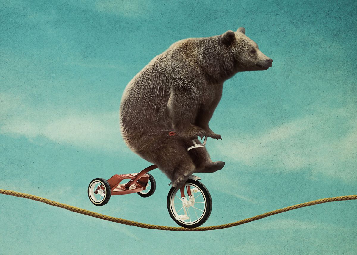 'Balancing Act' Poster, picture, metal print, paint by seam less | Displate