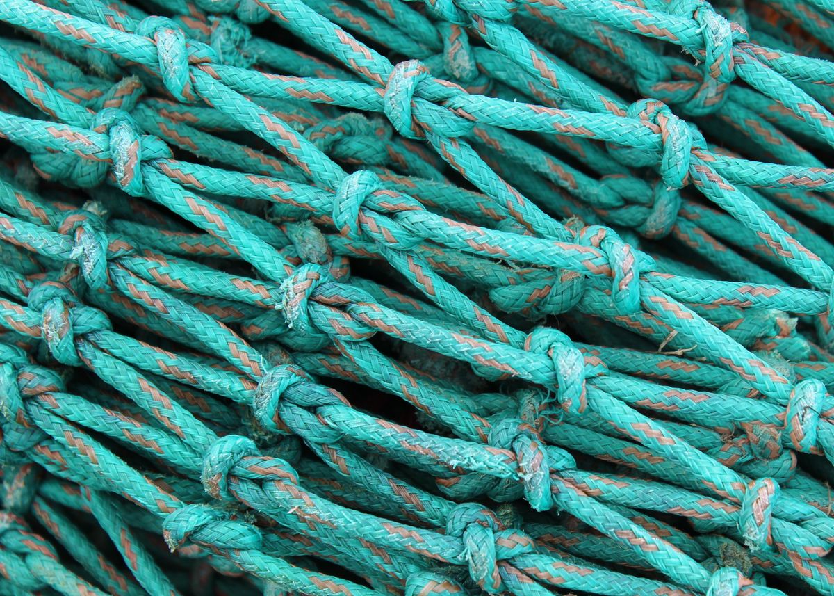 'Turquoise fishing nets used for catching crabs in the w ... ' Poster ...