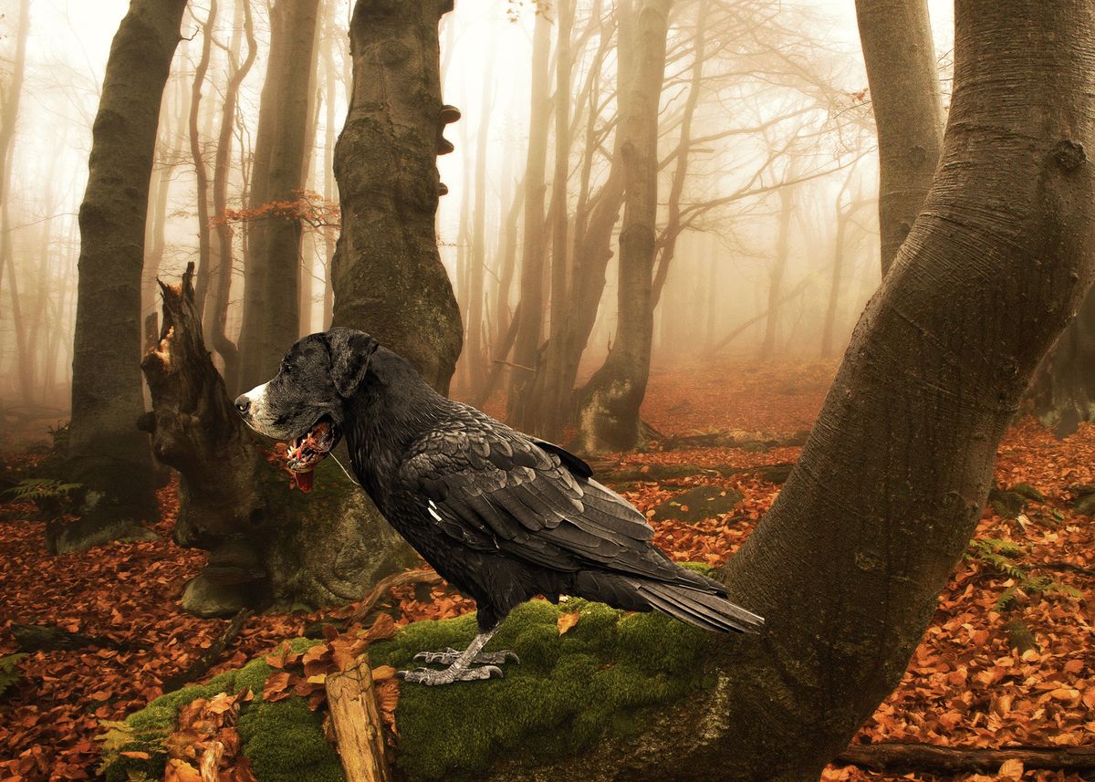 'Funny Dog Bird Animal Morph' Poster, picture, metal print, paint by ...