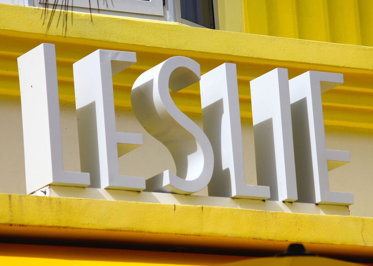 'Leslie' Poster, picture, metal print, paint by Philip Brown | Displate