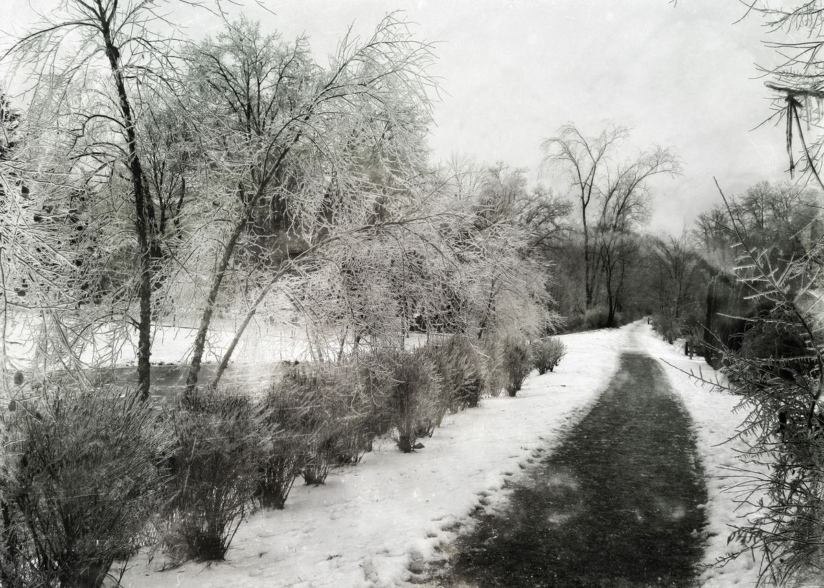 'Path xv' Poster by Gregory James Wyrick | Displate