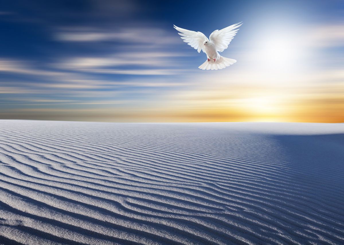 'flying high ' Poster, picture, metal print, paint by chrissie Judge ...