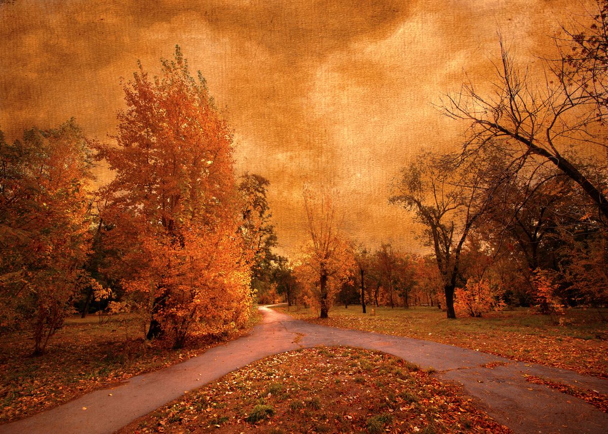'Surreal Autumn' Poster, picture, metal print, paint by Svetlana Sewell ...