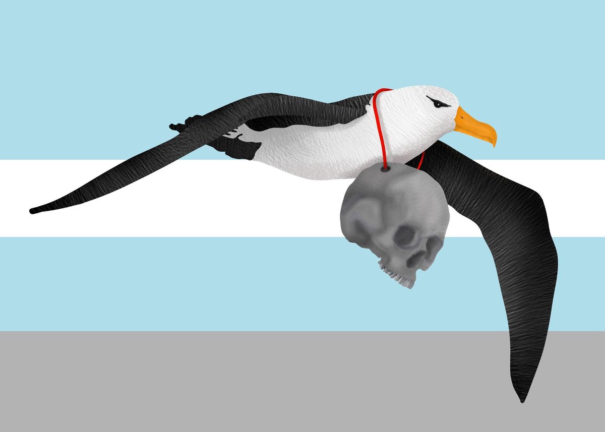 'An Albatross with a human skull around it's neck' Poster, picture ...