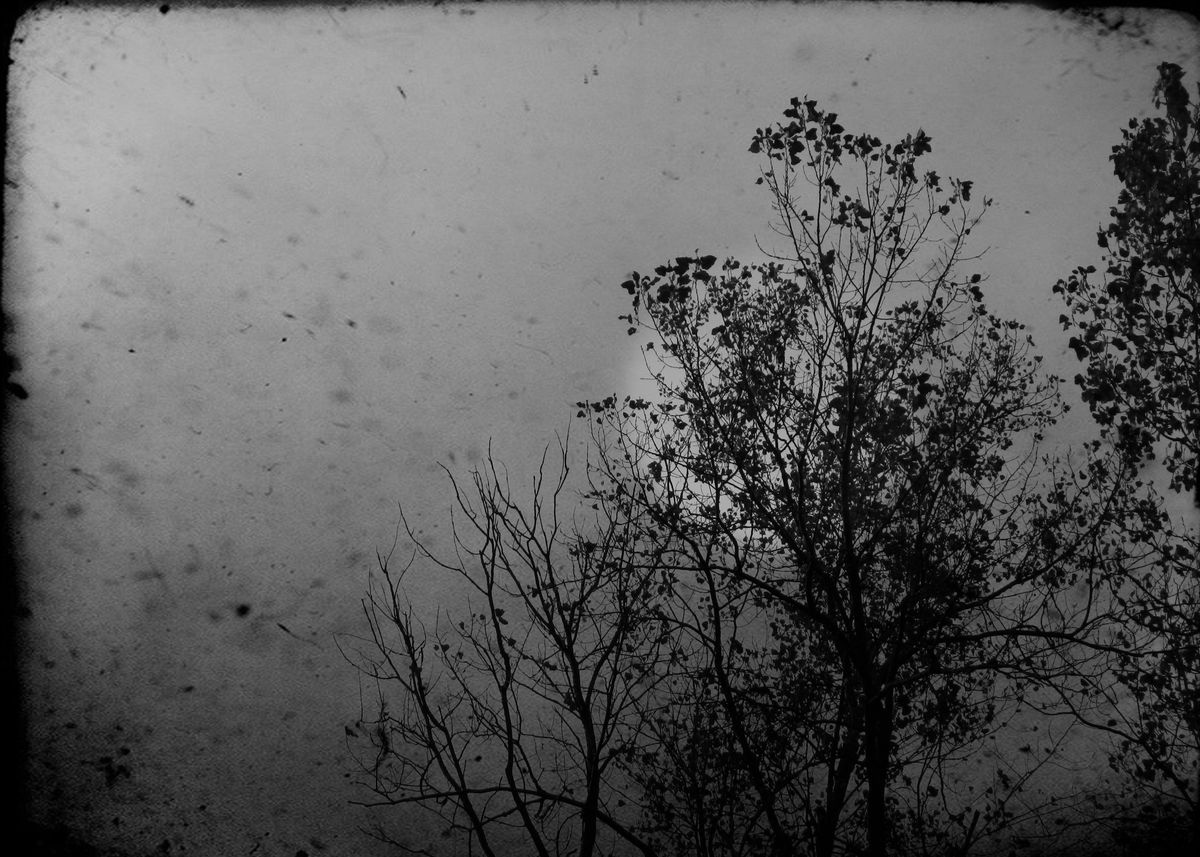 'Untitled' Poster, picture, metal print, paint by Gregory James Wyrick ...