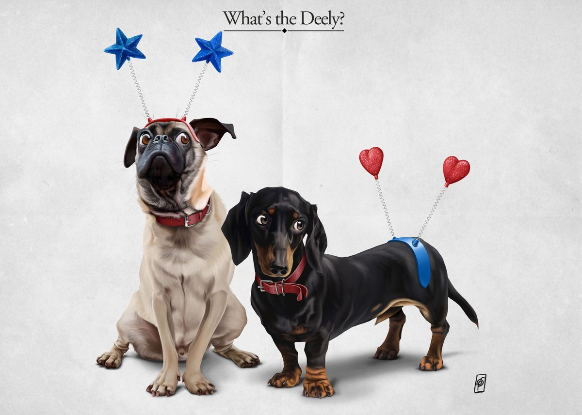 'What's the Deely?' Poster by rob art | illustration | Displate