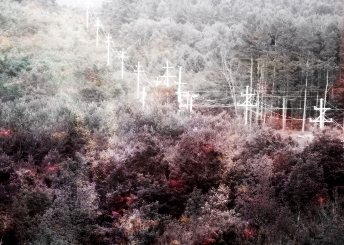 'Untitled' Poster, picture, metal print, paint by Gregory James Wyrick ...