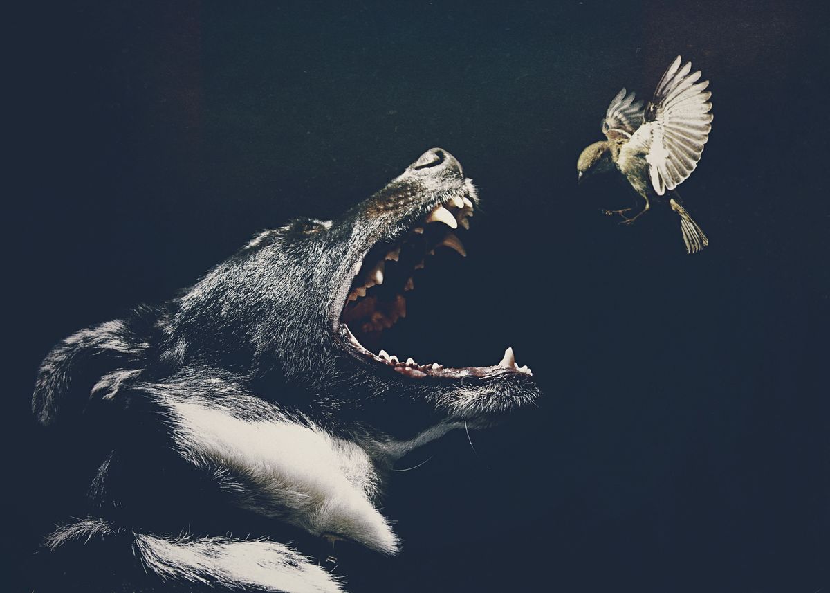 'Versus ' Poster by seam less | Displate
