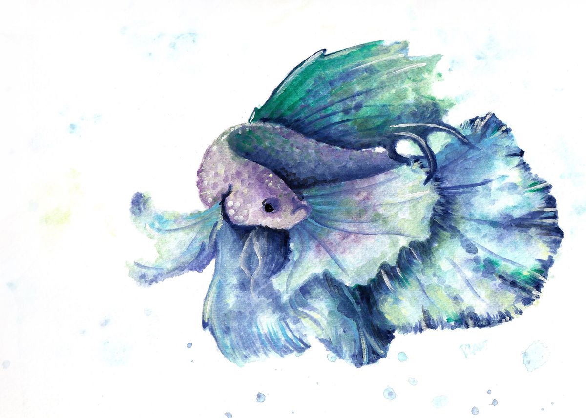 'Pearl Betta fish' Poster by Patrick Lau | Displate