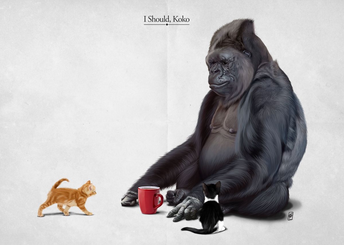 'I Should, Koko' Poster, picture, metal print, paint by rob art ...