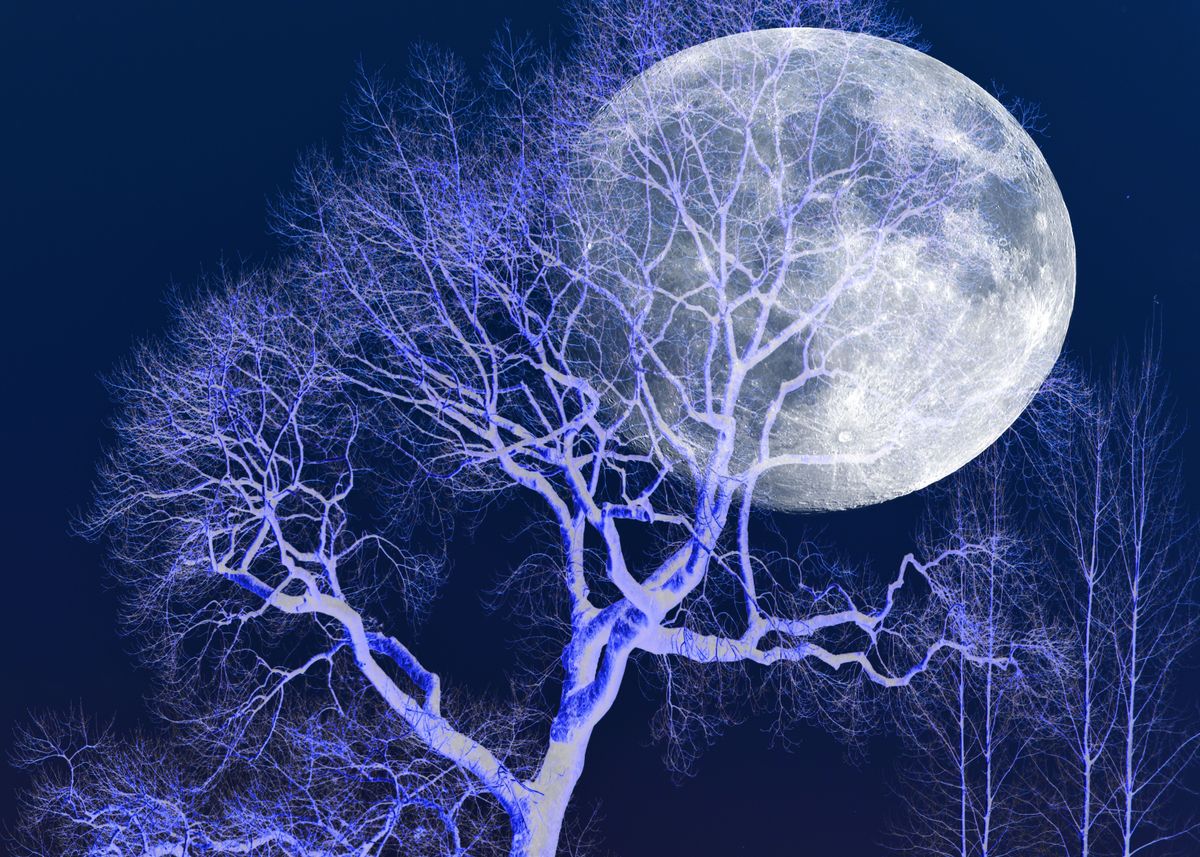 'The Loner and The Moon.' Poster, picture, metal print, paint by Lena ...