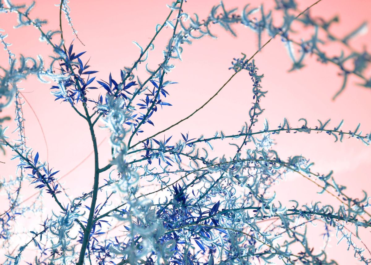 'Magical blue tree' Poster, picture, metal print, paint by Katrina ...