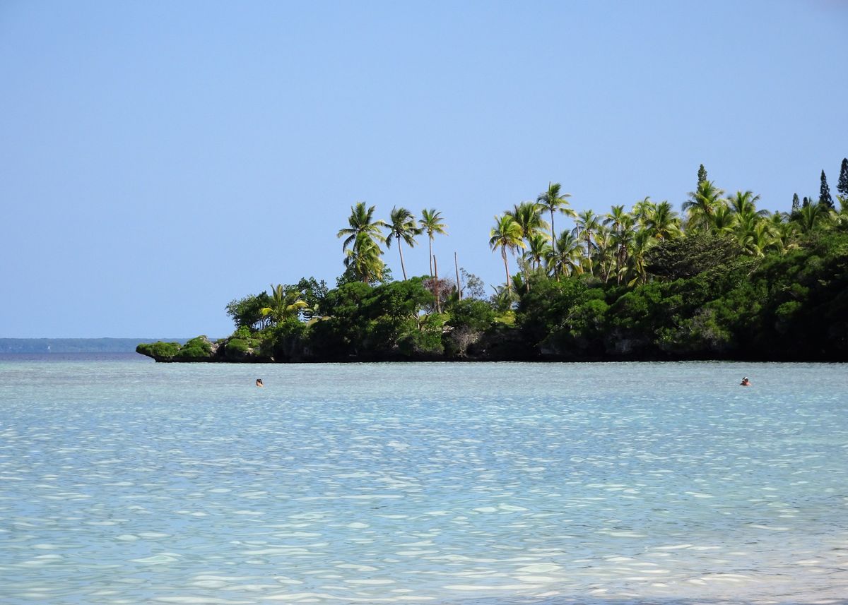 'Lifou' Poster, picture, metal print, paint by Chris Tilley | Displate