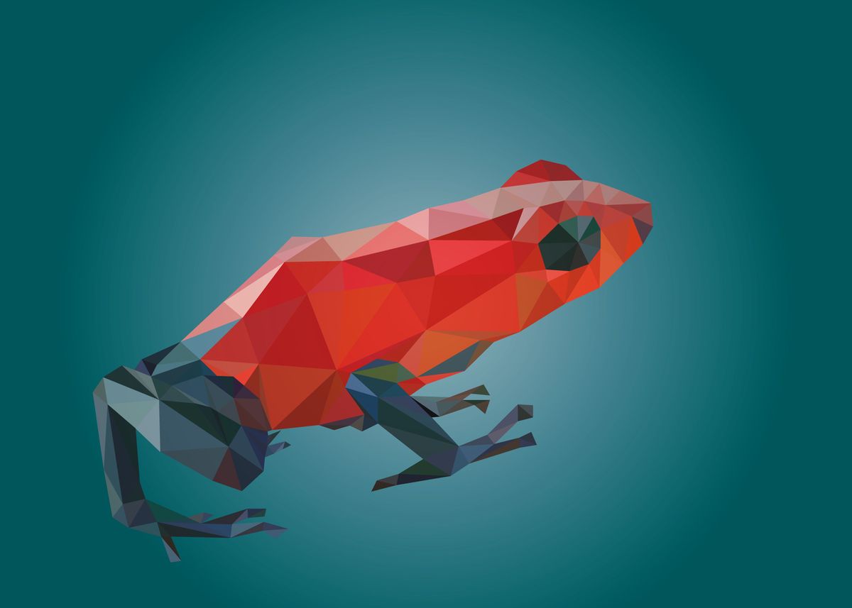 'Polygon Frog' Poster, picture, metal print, paint by arymis100 | Displate