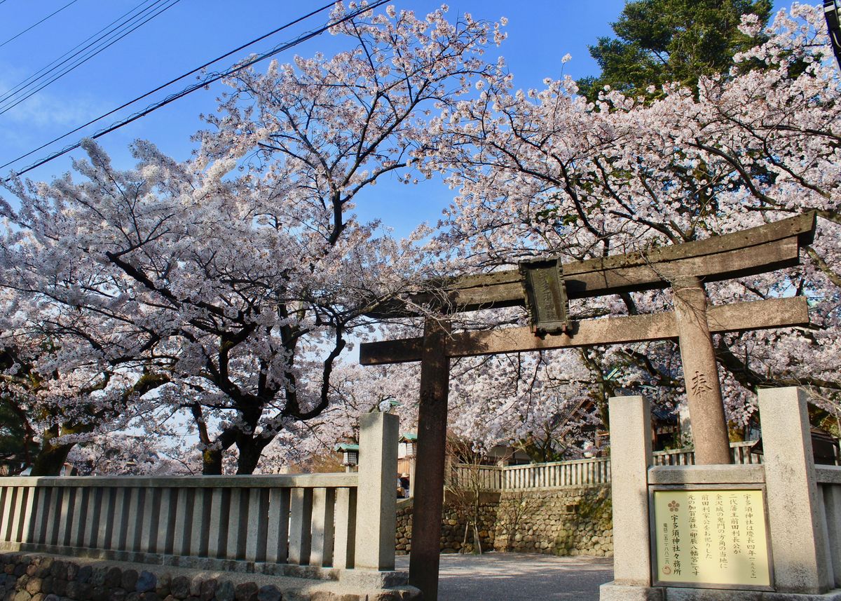'The Sixth Gate' Poster, picture, metal print, paint by Andrew Martinez ...