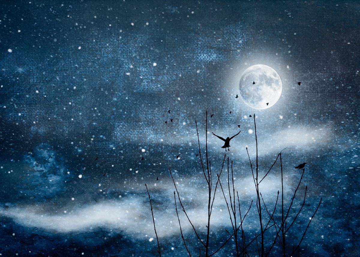 'call of the moon' Poster by Dirk Wüstenhagen | Displate