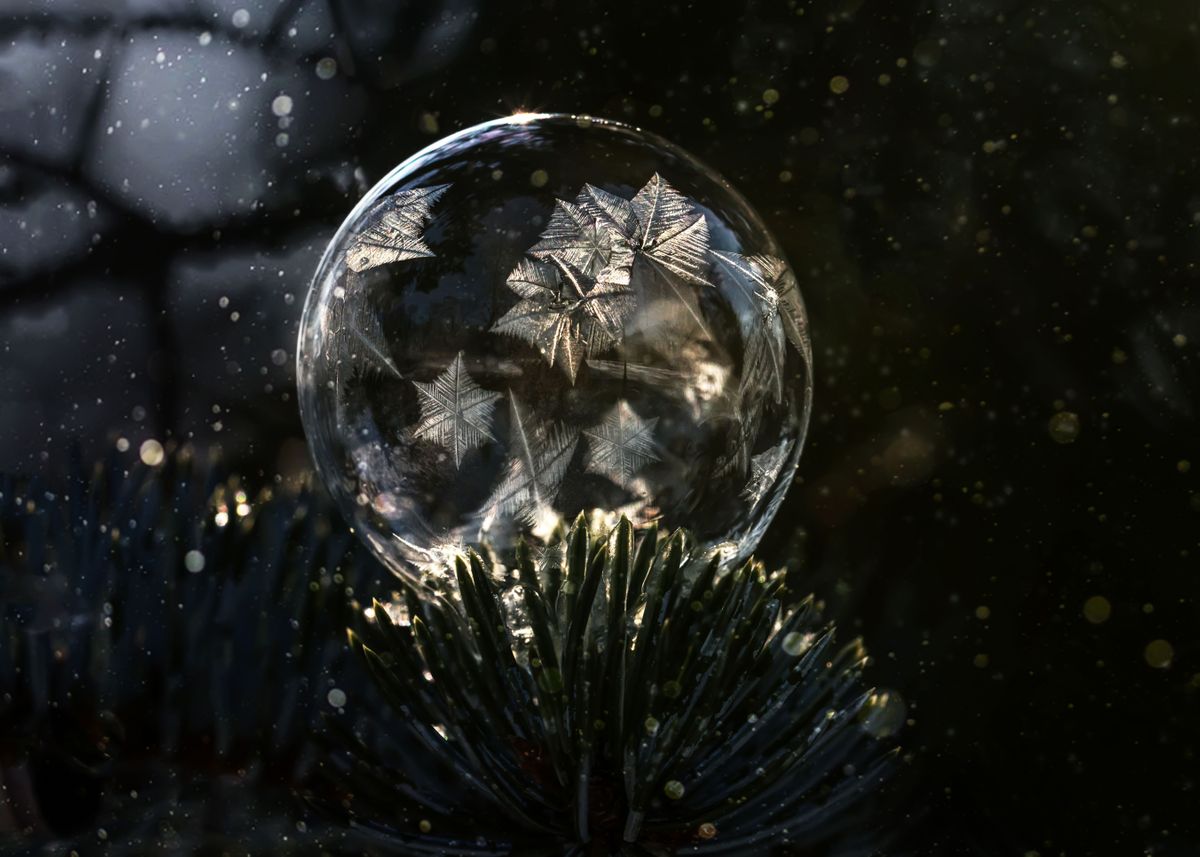 'Frozen bubble with frosty stars' Poster, picture, metal print, paint ...