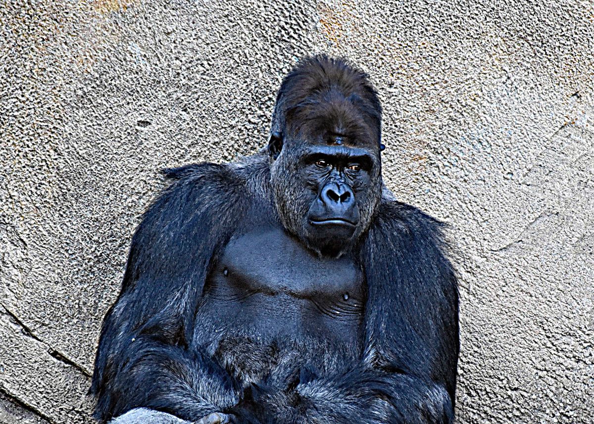 'Dad chilling' Poster by jason kirkham | Displate