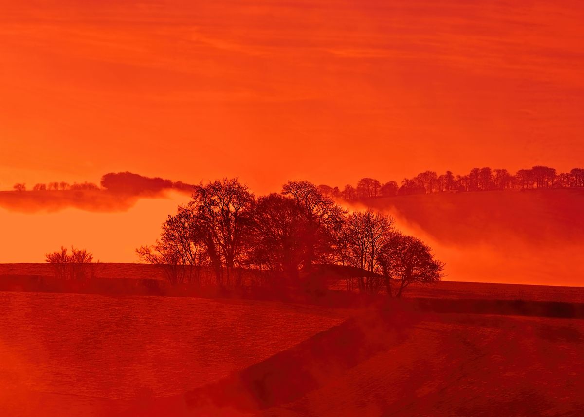 'Devon Fog 13' Poster, picture, metal print, paint by David Crosby ...