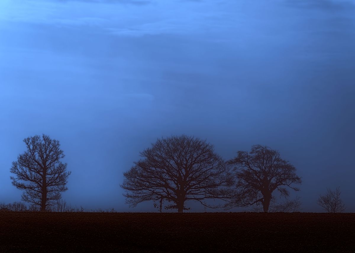 'Devon Fog 9' Poster, picture, metal print, paint by David Crosby ...