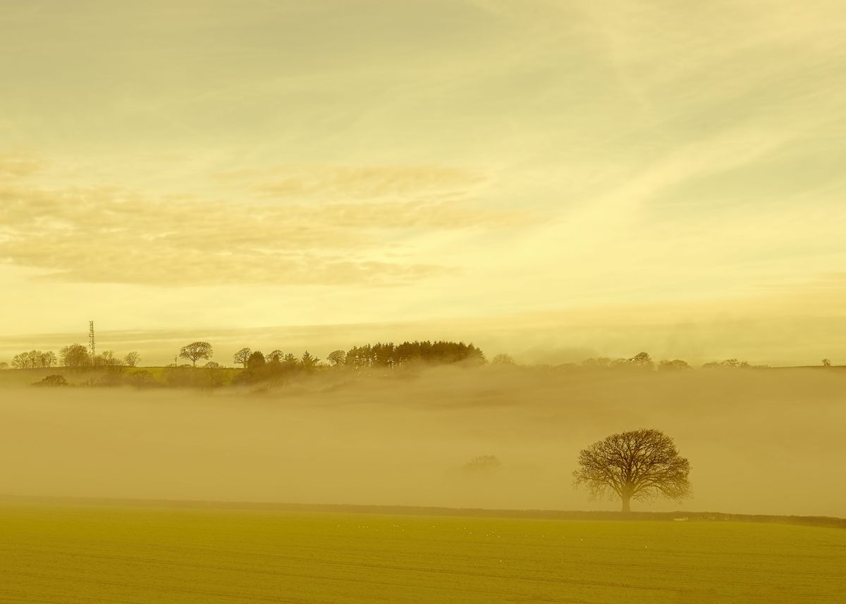 'Devon Fog 32' Poster, picture, metal print, paint by David Crosby ...