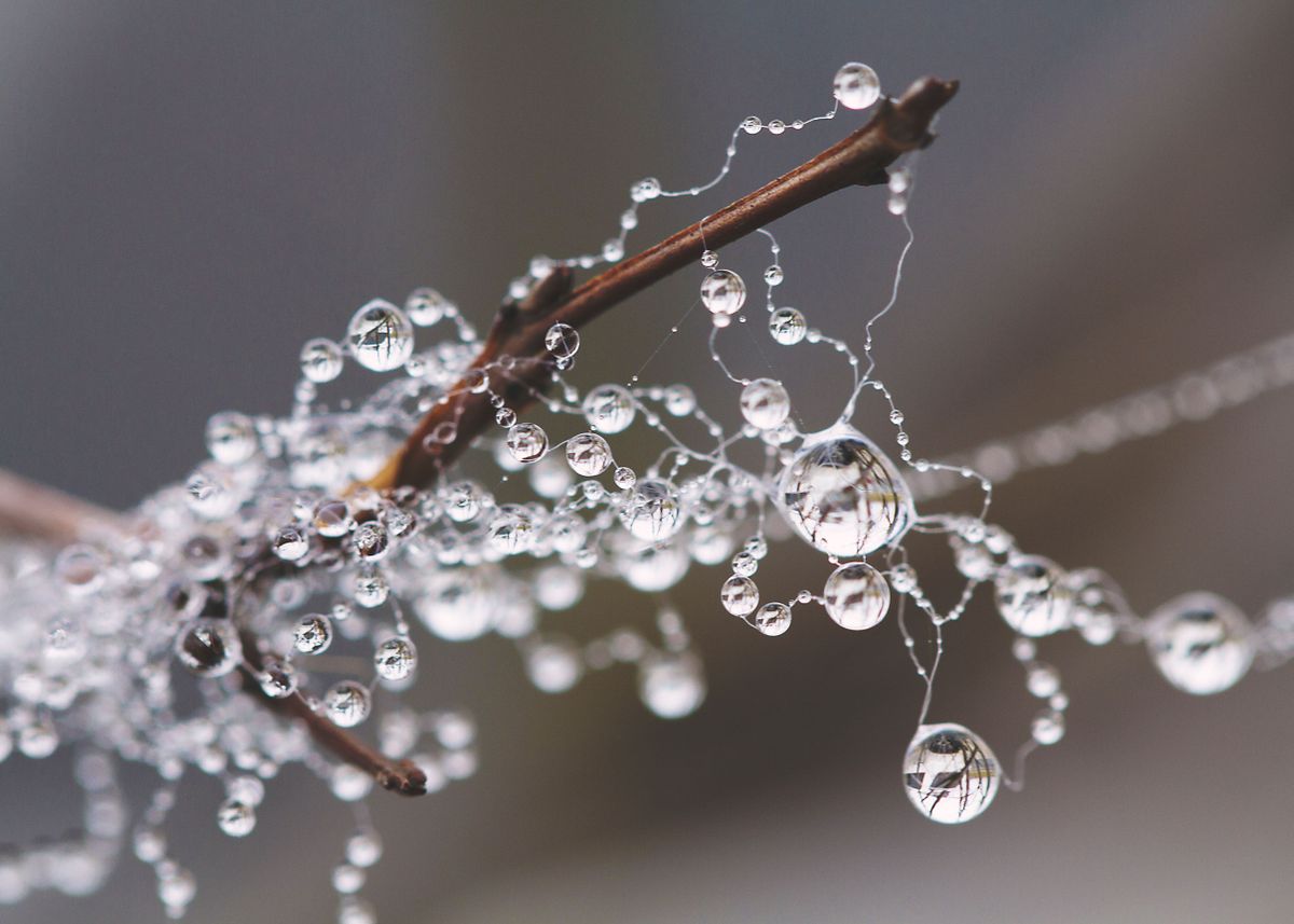 'Winter Rain Drops' Poster, picture, metal print, paint by Kristin ...