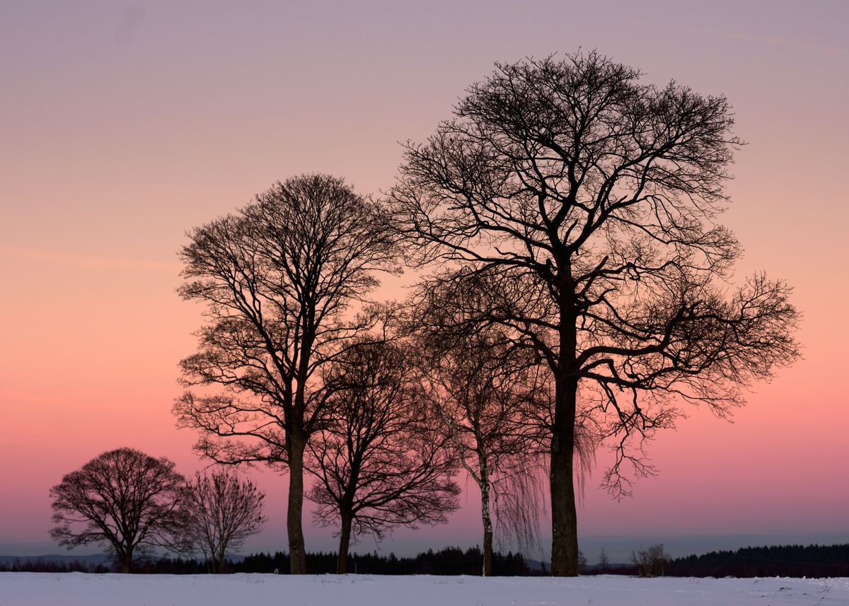 'Colorful Sky' Poster, picture, metal print, paint by Juergen Mayer ...