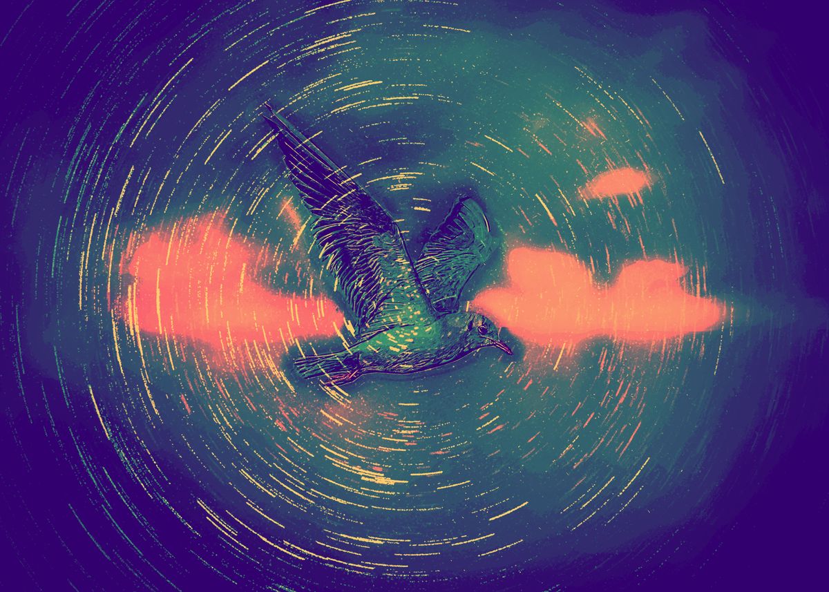 'Bird' Poster, picture, metal print, paint by 4T4 Design Studio | Displate